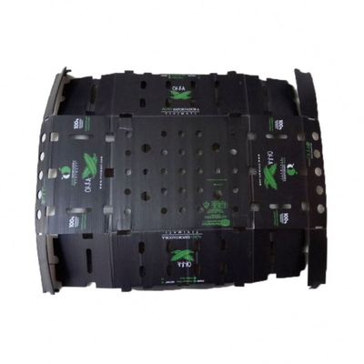 Corrugated Polypropylene Asparagus Box, Search Polypropylene Asparagus ...