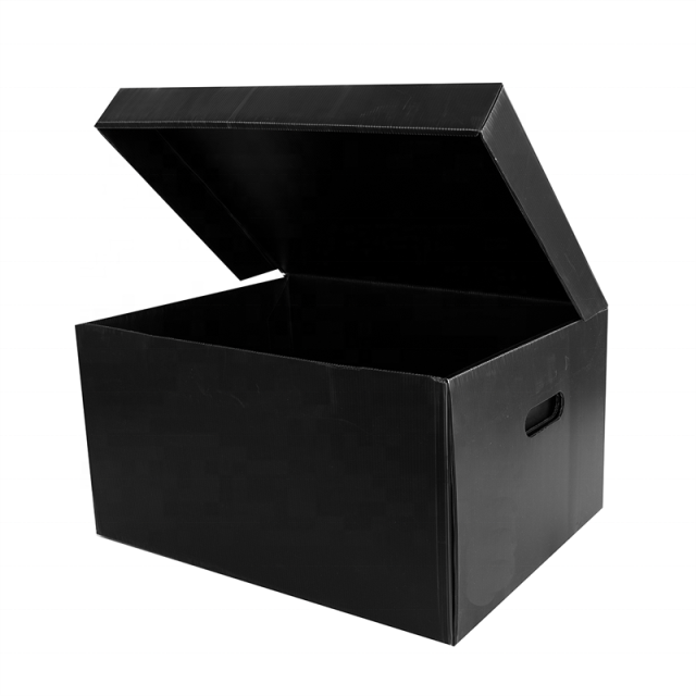 Custom Polypropylene Corrugated Plastic Archive Boxes for File Storage ...