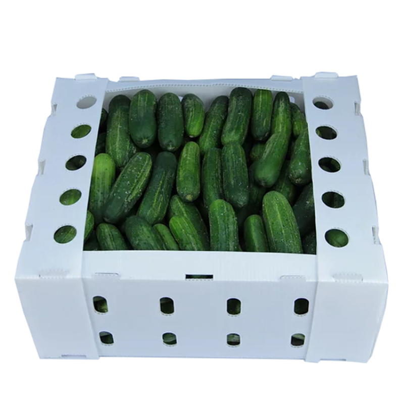 Corrugated Polypropylene Asparagus Box, Search Polypropylene Asparagus ...